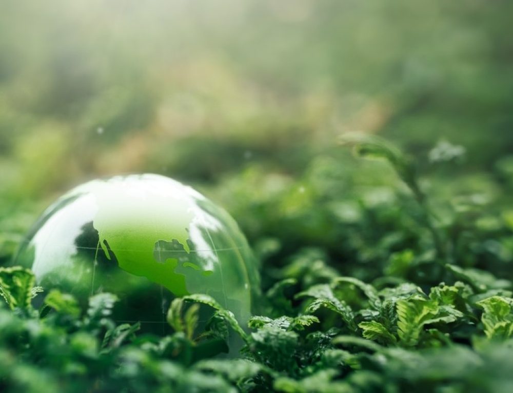 How Jigsaw's Software Combines Efficiency with Sustainability