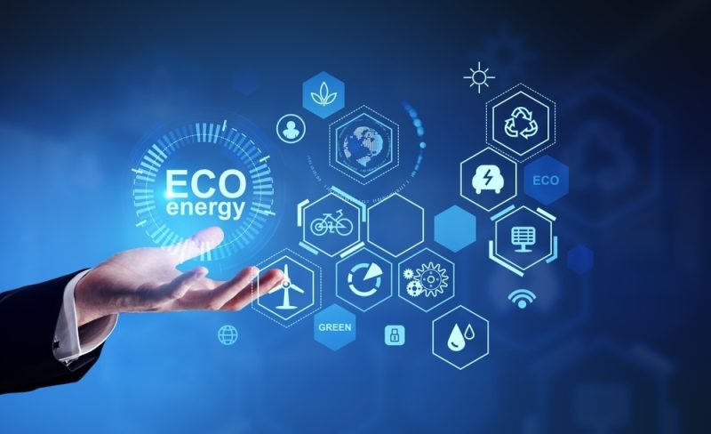 Multi-Fuel Management in Diverse Fleets